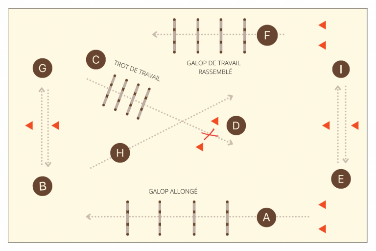 La minute coaching #1: Transitions, rectitude et barres au sol - The ...